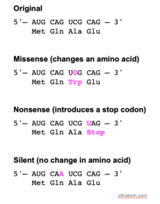 Mutation and Genetic Variation – Molecular Ecology & Evolution: An ...