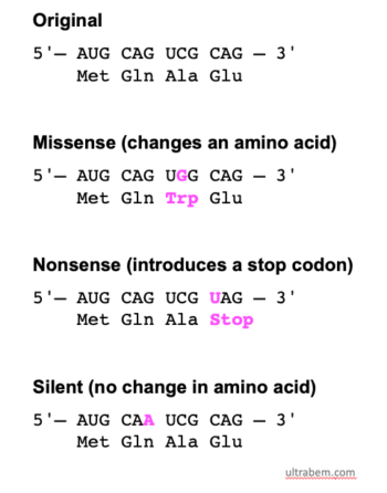 Mutation and Genetic Variation – Molecular Ecology & Evolution: An ...