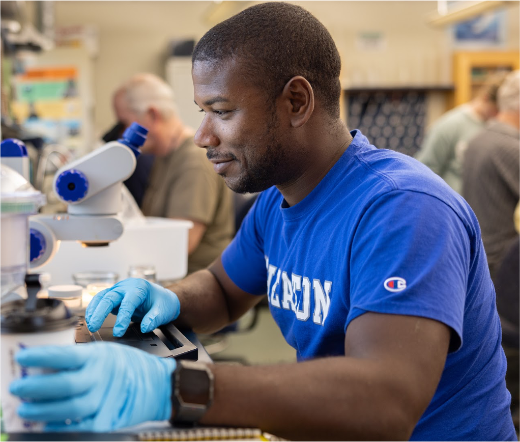 Author Information – Molecular Ecology & Evolution: An Introduction