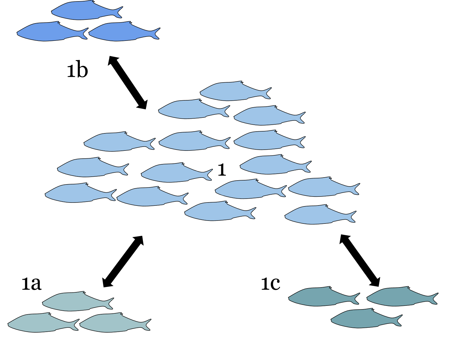The Metapopulation Concept – Molecular Ecology & Evolution: An Introduction